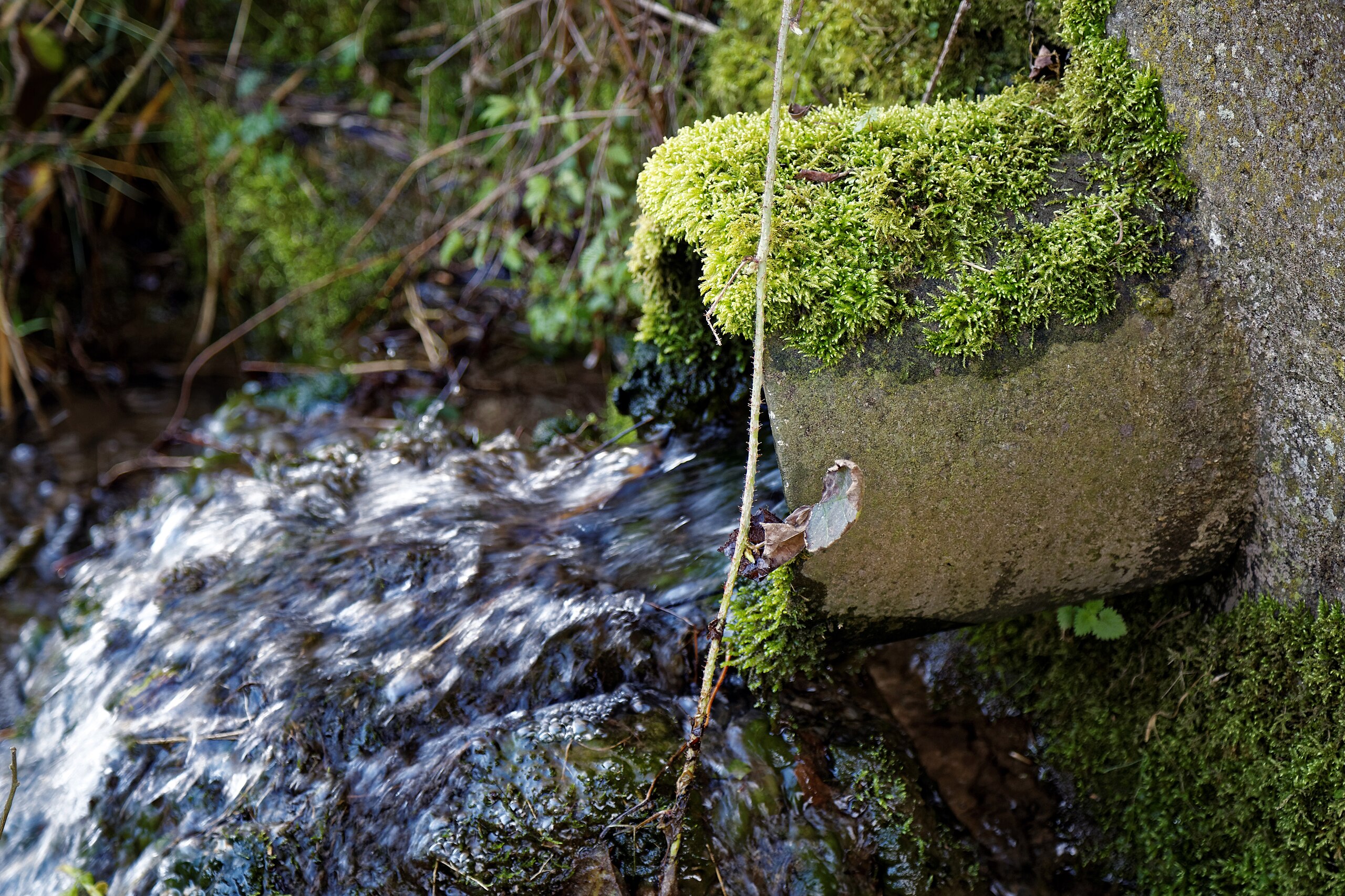Kent water shortage: nationalise the water industry - Socialist Party